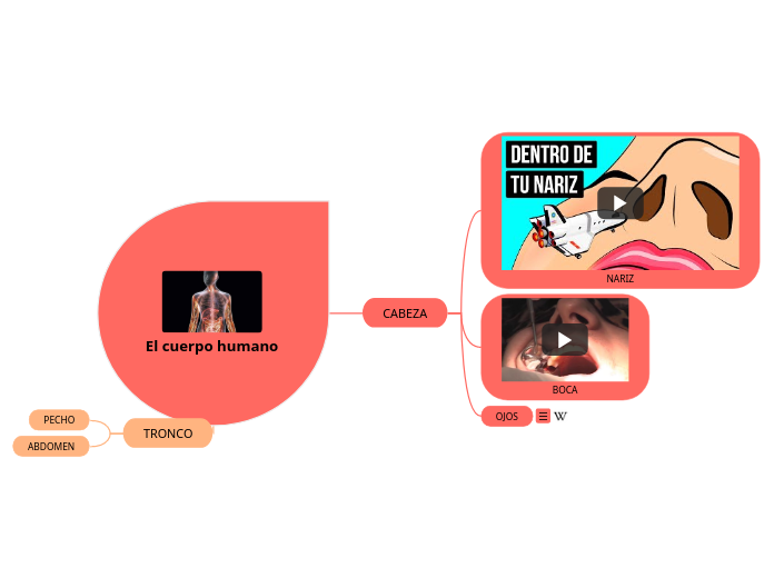 El cuerpo humano - Mind Map